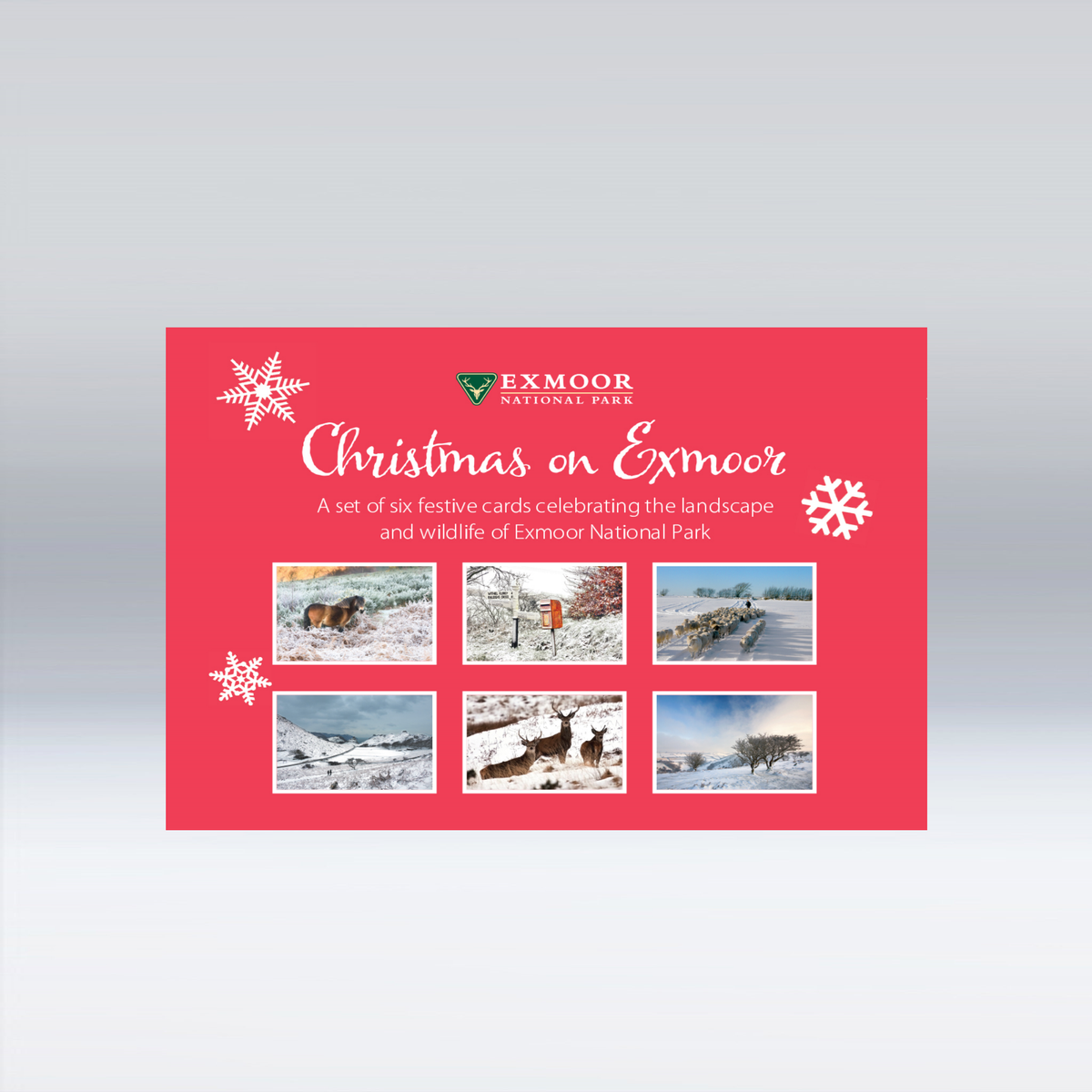 Boxed set of 6 Exmoor Christmas cards – Exmoor National Park Authority Shop