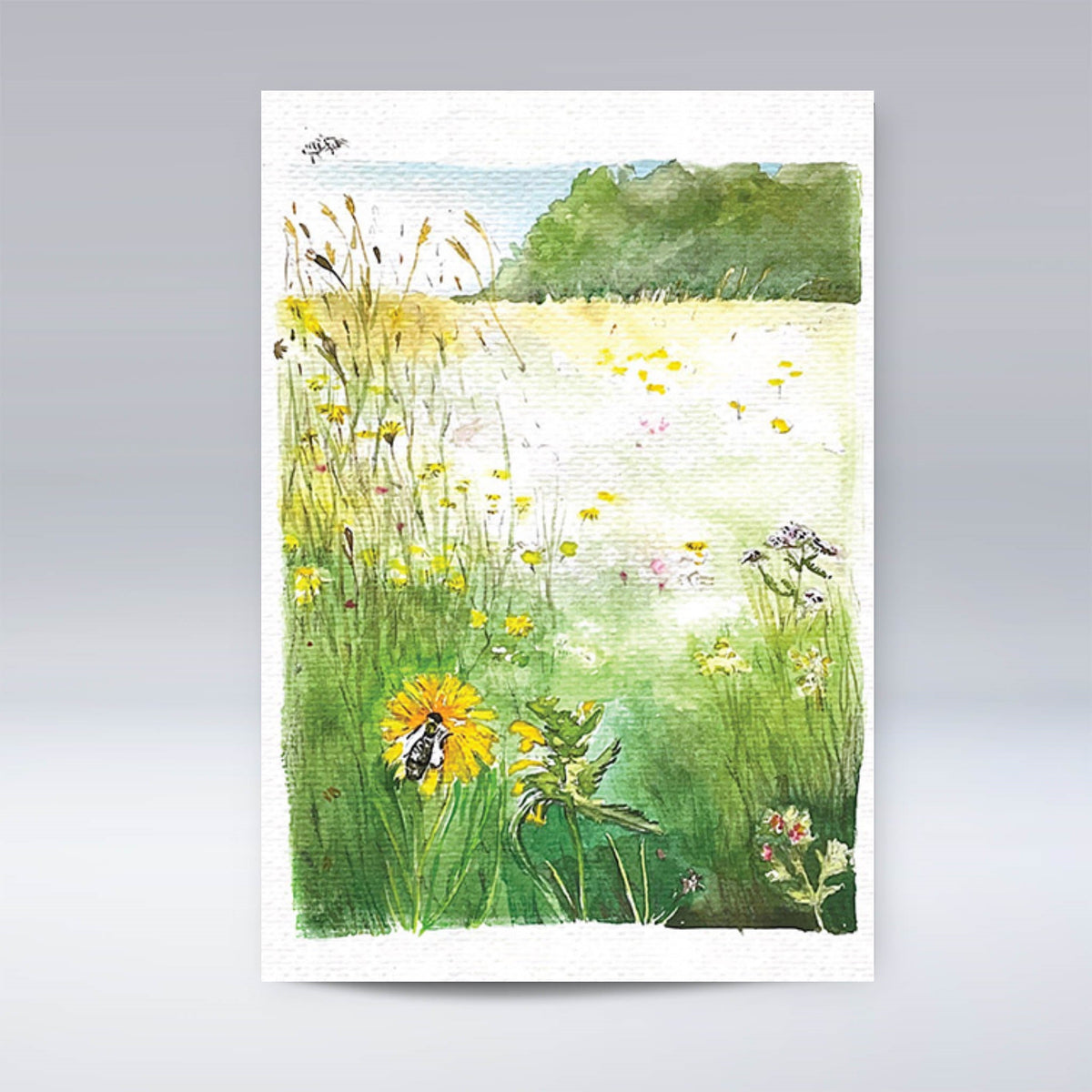 Sowing The Seeds Dedication Card (Personalised) – Exmoor National Park ...